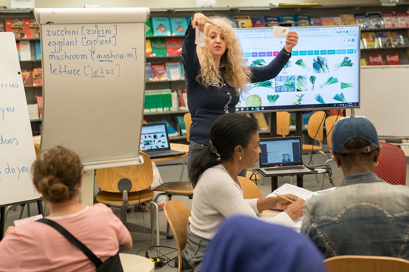 Andrew Carnegie’s Free Public Library Philanthropy | Libraries ...