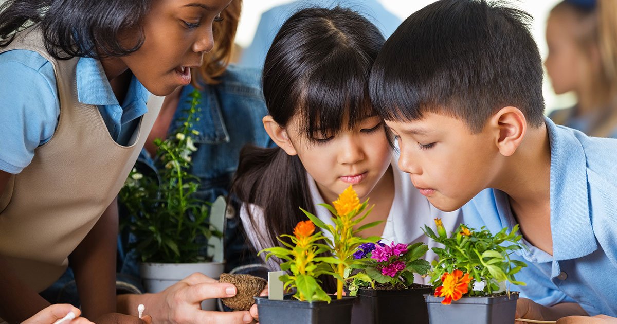 How to Achieve Equitable and Improved Science Learning for All Students ...