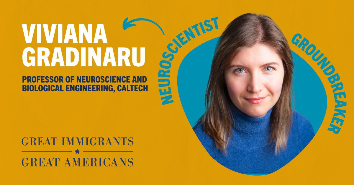 Viviana Gradinaru : Awards | Carnegie Corporation of New York