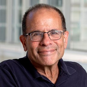 David S. Meyer : Awards | Carnegie Corporation of New York