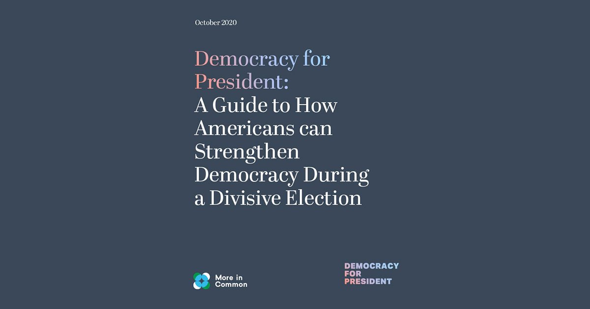 Democracy for President: A Guide to How Americans Can Strengthen ...